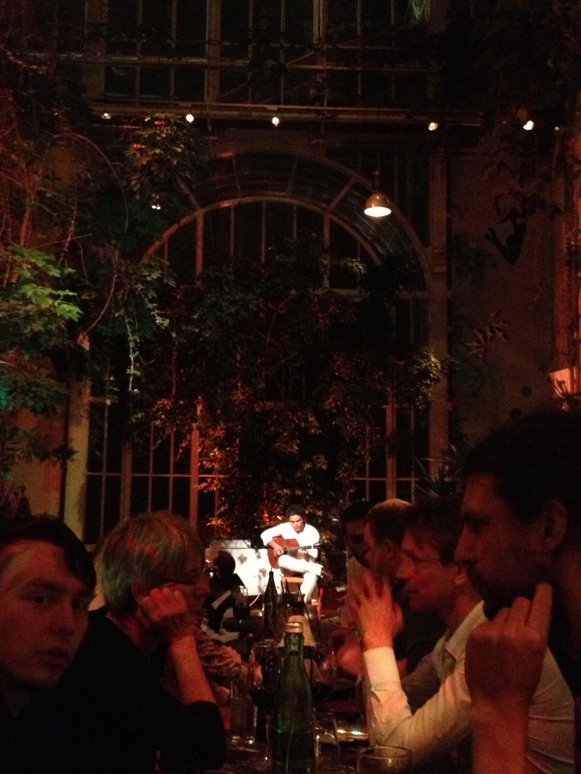 Palmenhaus | ANGELO DA SILVA